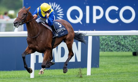 Resolute Racing Buys Into Group 1 Winner Goliath - BloodHorse