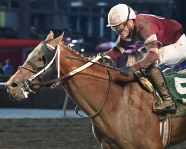 Red Route One - Horse Profile - BloodHorse