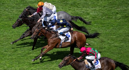 Simmering (GB) - Horse Profile - BloodHorse