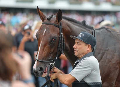 Dornoch - Horse Profile - BloodHorse