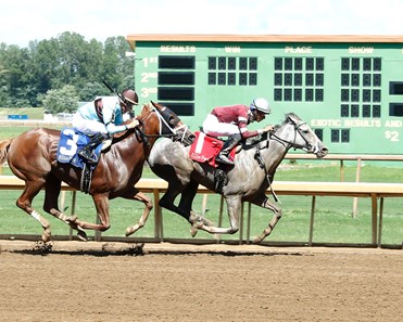 Merasol Sugar - Horse Profile - BloodHorse