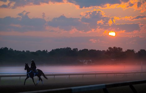 NYRA Expands Public Access to Oklahoma Training Track - BloodHorse