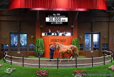 Gun Runner - Horse Profile - BloodHorse