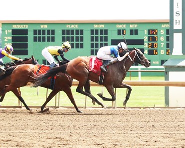 Grace Given - Horse Profile - BloodHorse