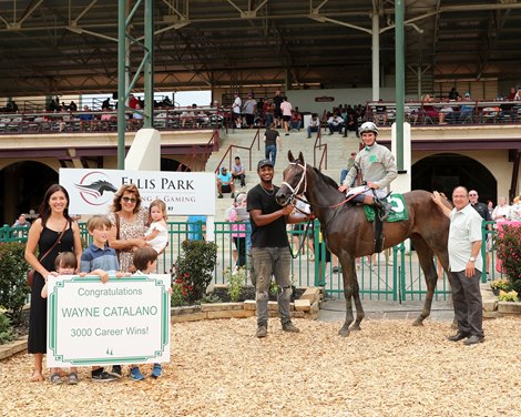 Catalano Trains 3,000th Winner - BloodHorse