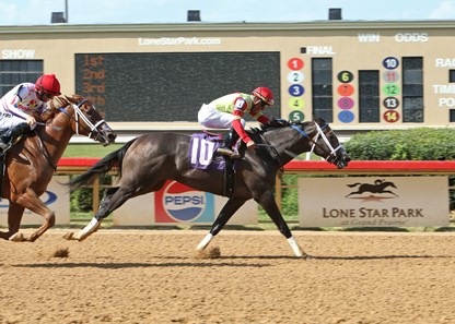 Secret Faith - Horse Profile - BloodHorse