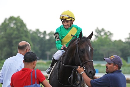 Apollo Ten - Horse Profile - BloodHorse