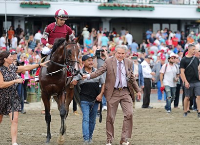 Dornoch - Horse Profile - BloodHorse