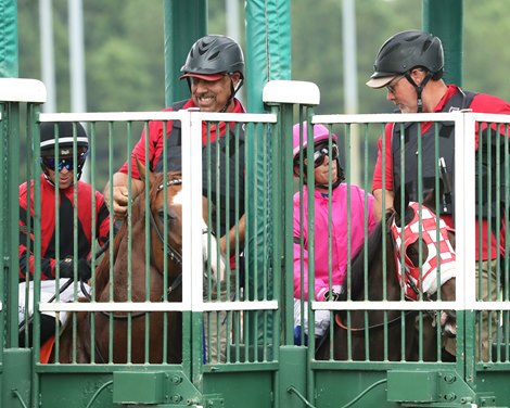 Equine Injury Database Continues to Prove Invaluable - BloodHorse
