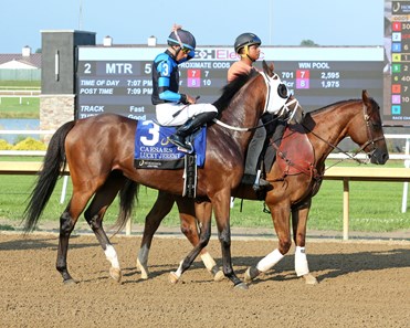 Lucky Jeremy - Horse Profile - BloodHorse