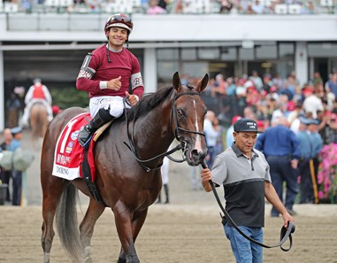 Dornoch - Horse Profile - BloodHorse