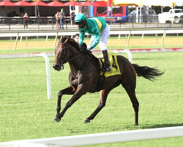 Integration - Horse Profile - BloodHorse