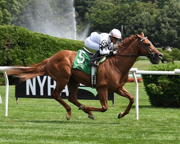 The Big Torpedo - Horse Profile - BloodHorse