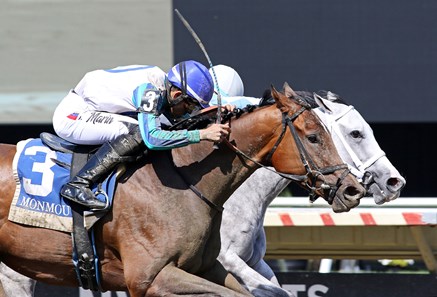 Book'em Danno - Horse Profile - BloodHorse