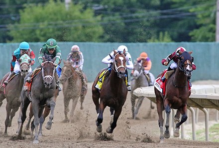 Dornoch - Horse Profile - BloodHorse