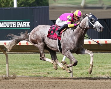 Tapit Trice - Horse Profile - BloodHorse