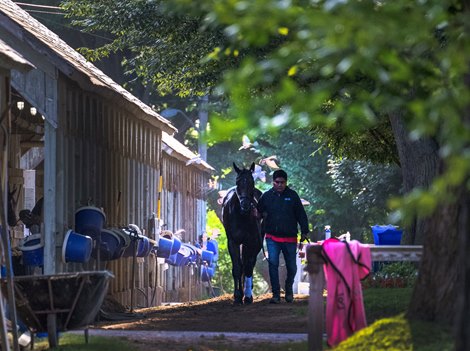 Quarantine Lifted for Horses From Barn 66 at Saratoga - BloodHorse
