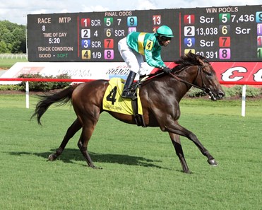 Integration - Horse Profile - BloodHorse