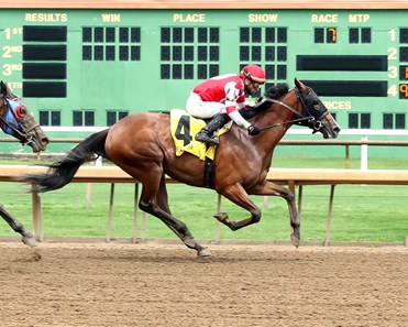 Playback - Horse Profile - BloodHorse