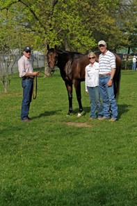 Colonel John - Horse Profile - BloodHorse