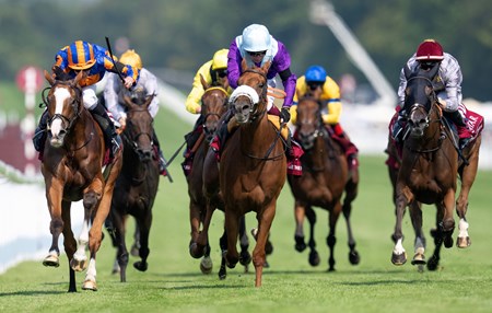 Opera Singer - Horse Profile - BloodHorse