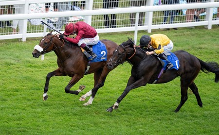 New Century (GB) - Horse Profile - BloodHorse