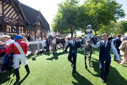 Charyn (IRE) - Horse Profile - BloodHorse