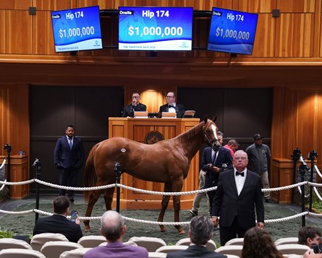 Justify Joins Seven-Figure Club With $1M Colt - BloodHorse