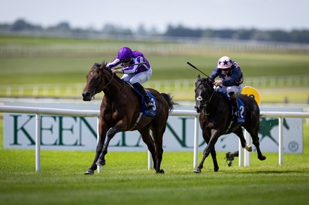 Delacroix (IRE) - Horse Profile - BloodHorse