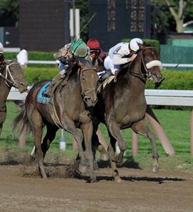Colonel John - Horse Profile - BloodHorse