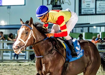 Secret Faith - Horse Profile - BloodHorse