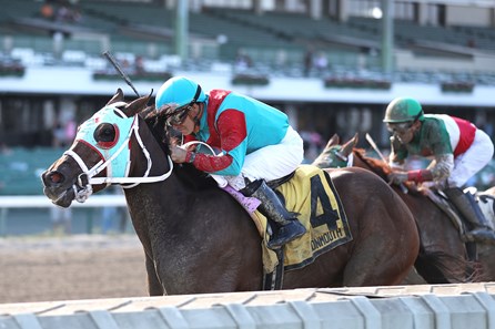 Sea Streak - Horse Profile - BloodHorse