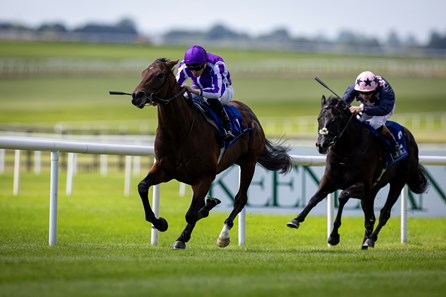 Delacroix (IRE) - Horse Profile - BloodHorse