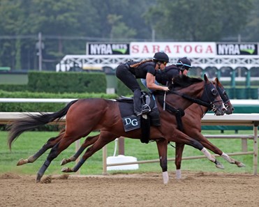 Dornoch - Horse Profile - BloodHorse