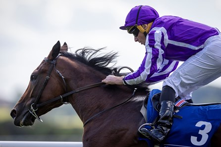 Delacroix (IRE) - Horse Profile - BloodHorse