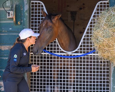 Thorpedo Anna - Horse Profile - BloodHorse