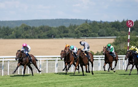 Lead Artist (GB) - Horse Profile - BloodHorse