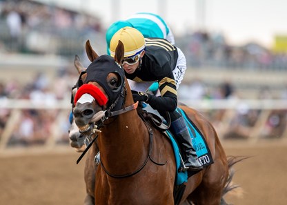 Mixto - Horse Profile - BloodHorse