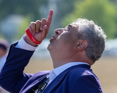 Far Bridge - Horse Profile - BloodHorse