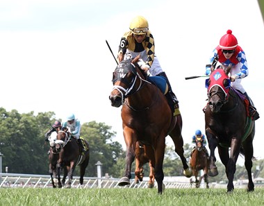 Governor Sam - Horse Profile - BloodHorse