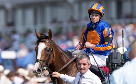 Opera Singer - Horse Profile - BloodHorse