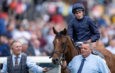 City of Troy - Horse Profile - BloodHorse