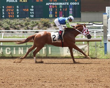 Carson N Spence - Horse Profile - BloodHorse