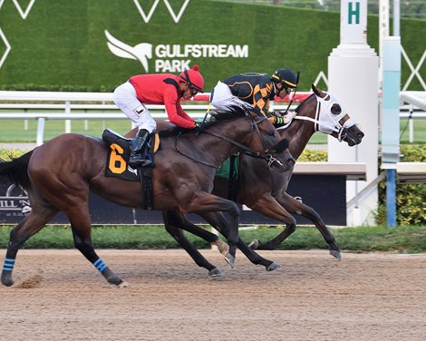 Naughty Rascal Gives Rogueish His First Stakes Winner - BloodHorse