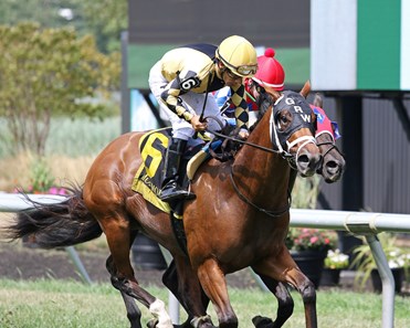 Governor Sam - Horse Profile - BloodHorse