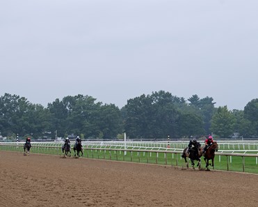 Honor Marie - Horse Profile - BloodHorse
