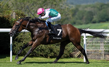 Lead Artist (GB) - Horse Profile - BloodHorse