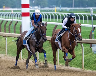 Thorpedo Anna - Horse Profile - BloodHorse