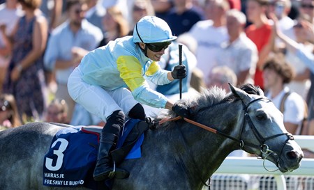 Charyn (IRE) - Horse Profile - BloodHorse