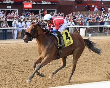 Tricky Temper - Horse Profile - BloodHorse